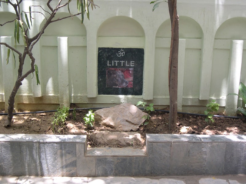 Satsang Bhavan-Lucknow India - Papaji's Archive